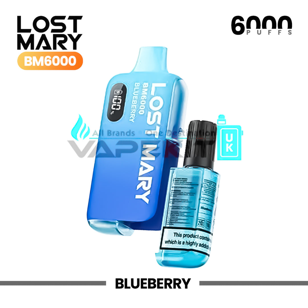 Lost Mary BM6000 Blueberry Prefilled Pod Vape Kit